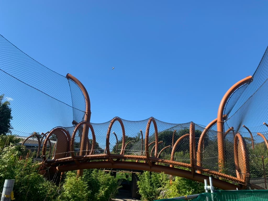 How Architectural Rigging Changes Architecture | SRS